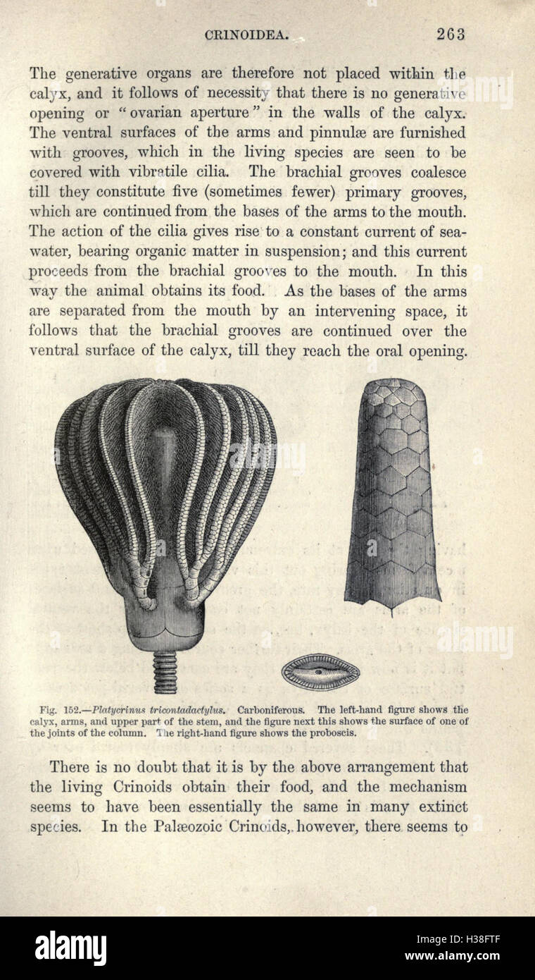 This manual serves as an introduction to paleontology, covering the ...
