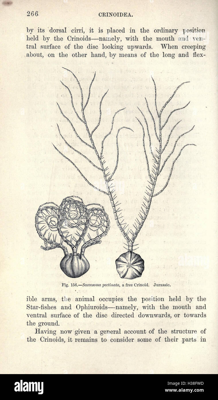 This manual provides an overview of paleontological principles ...