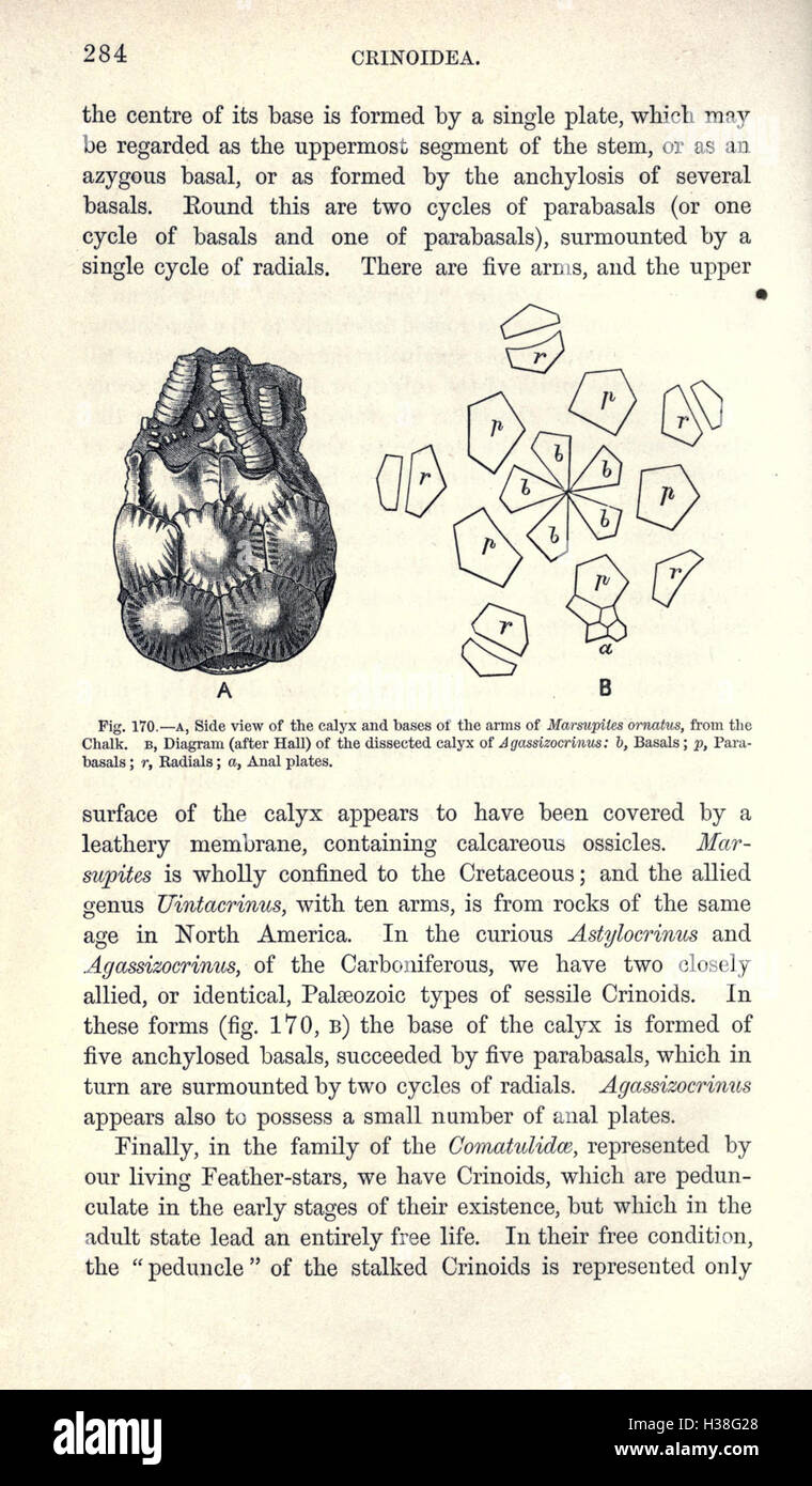 This manual provides an overview of paleontological methods, including ...