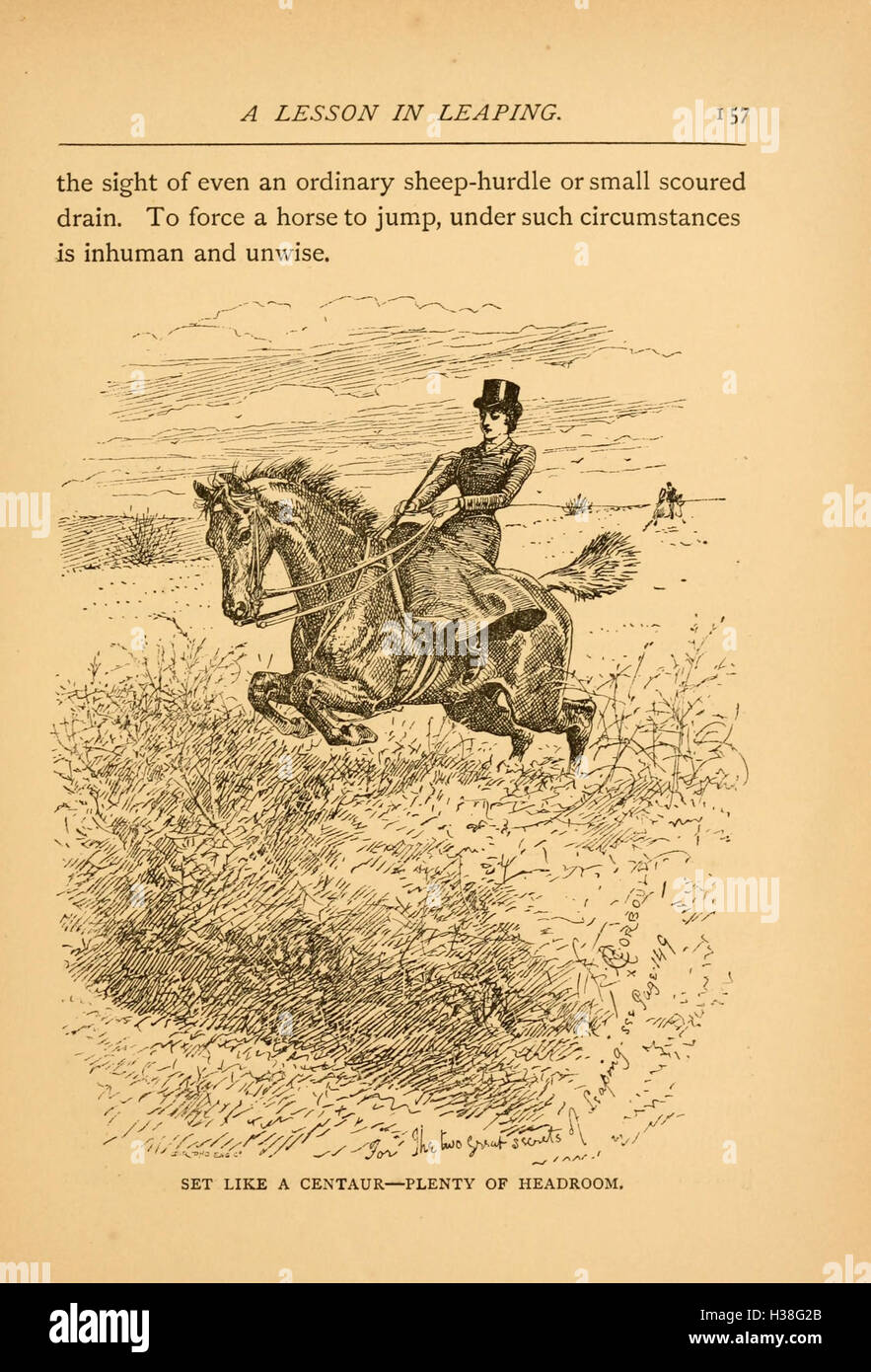 A guide to horse riding techniques and etiquette specifically tailored ...