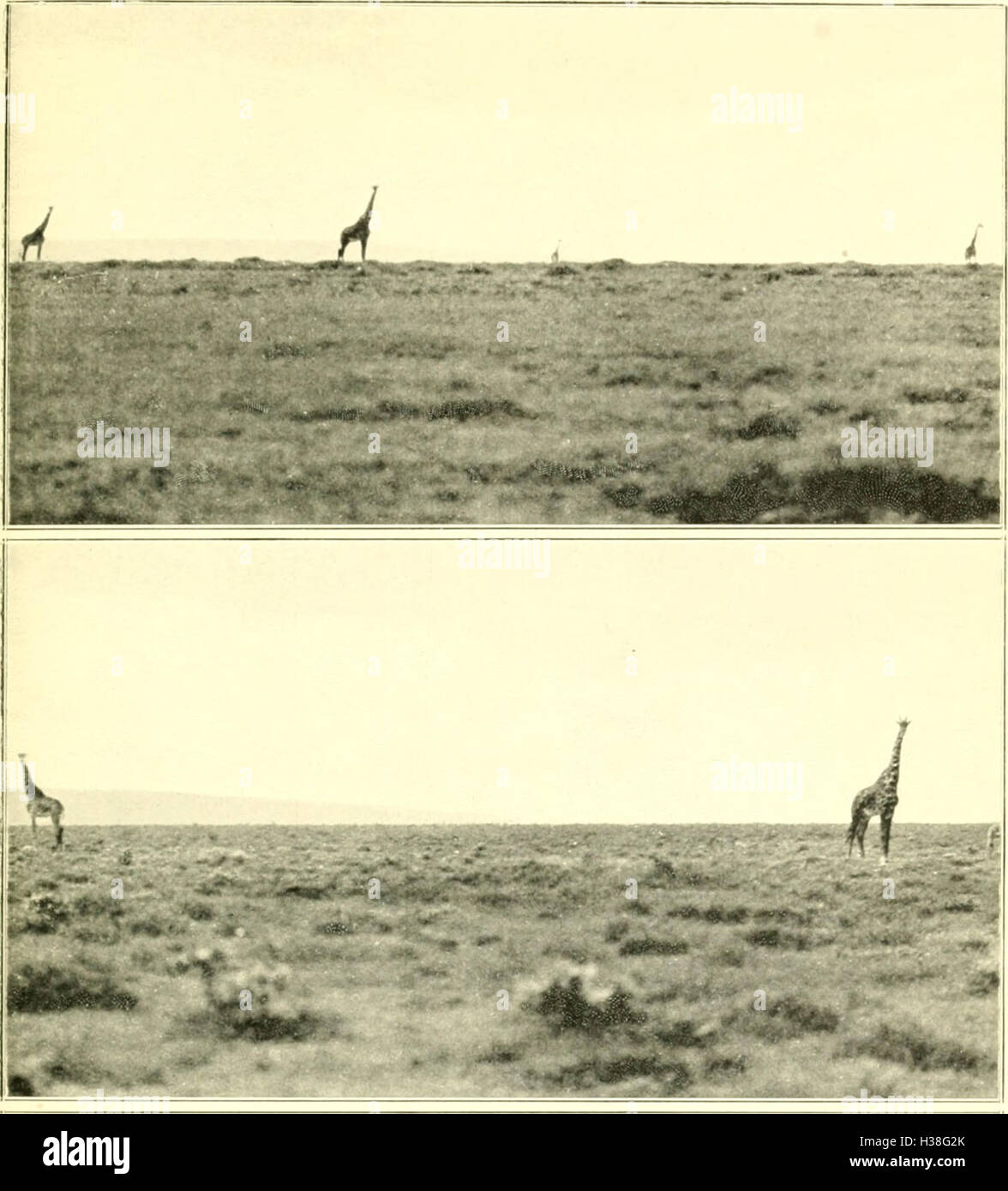 African american hunter hi-res stock photography and images - Alamy