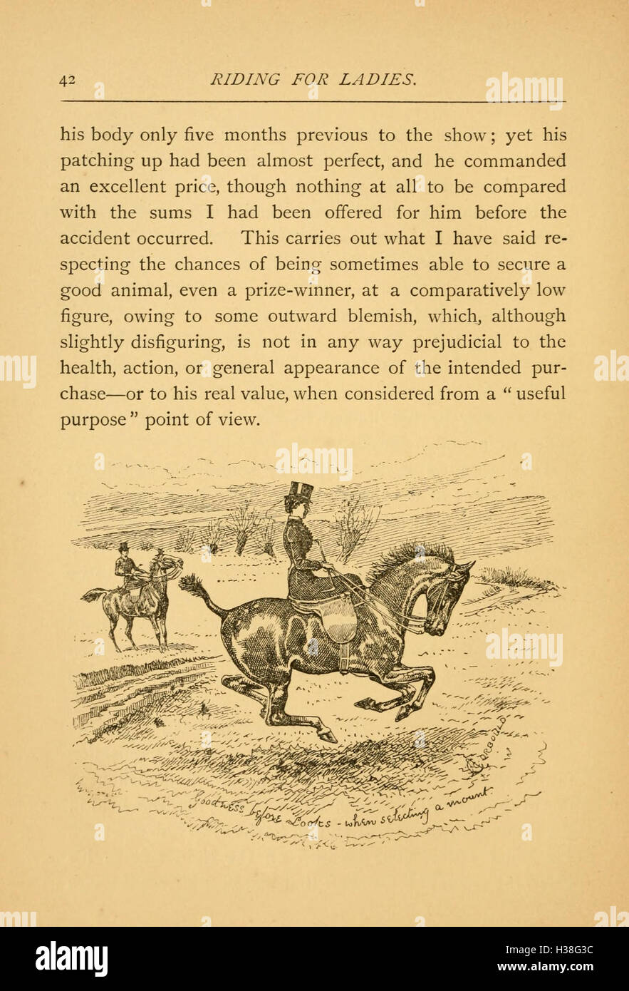 A guide to riding for women, focusing on the basic techniques, safety ...