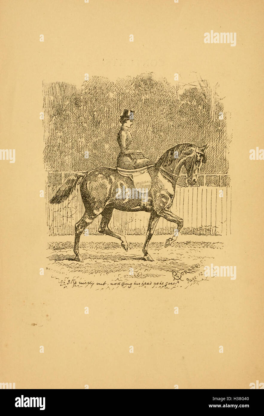 Guide women on horseback hi-res stock photography and images - Alamy