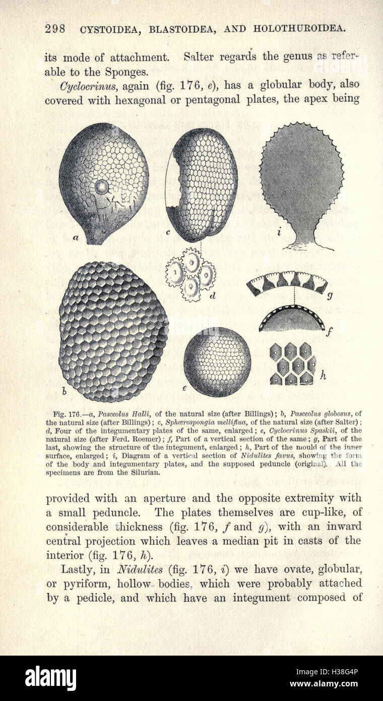 This comprehensive manual covers the principles, methods, and major ...