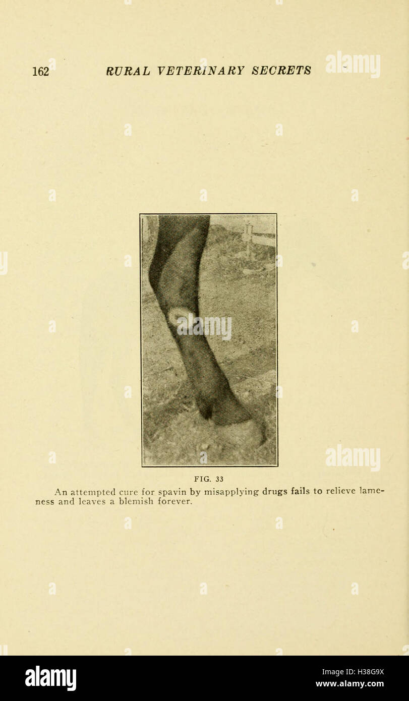 A guide to rural veterinary practices, covering common animal health ...