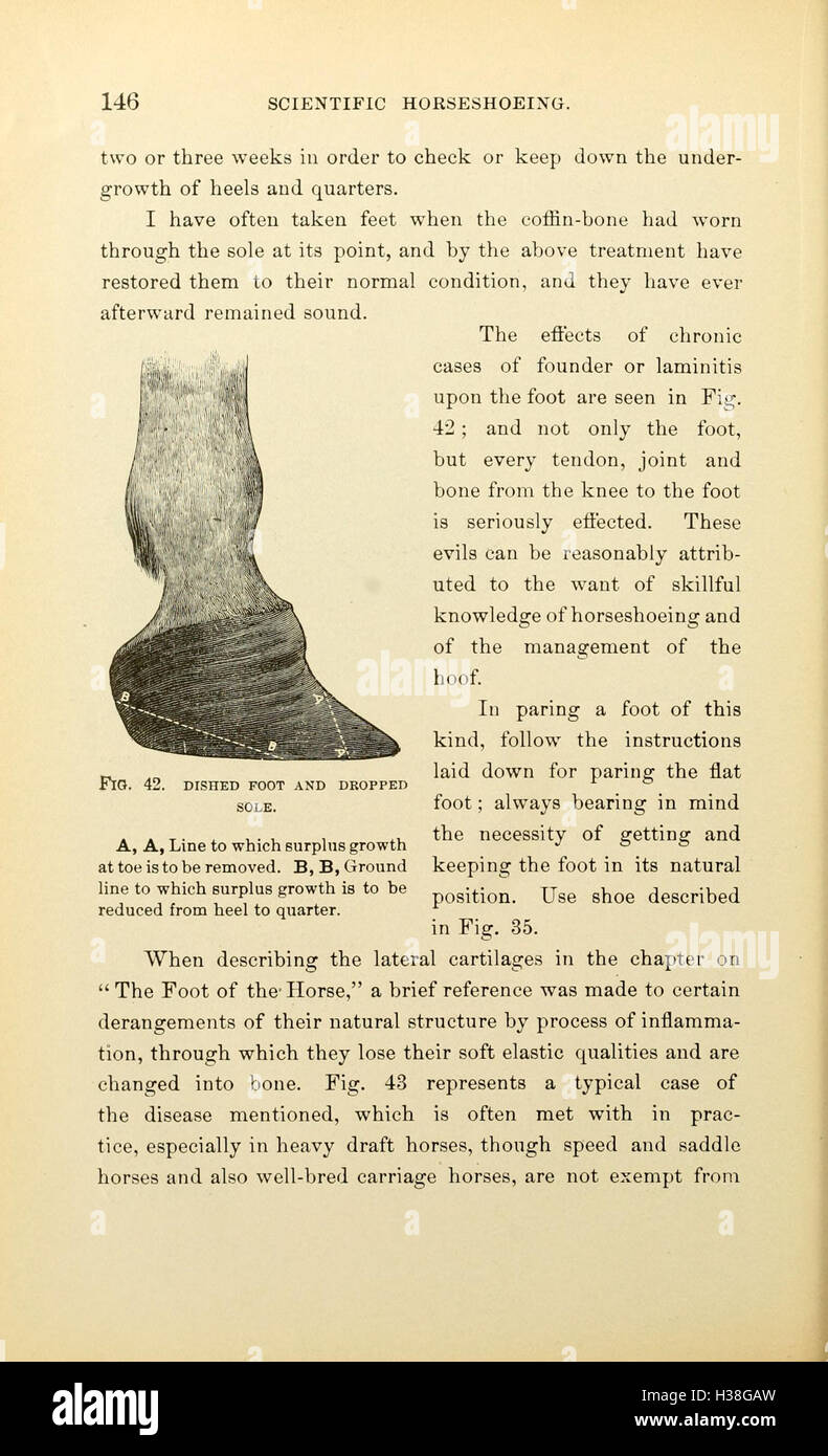 Proper fitting work hi-res stock photography and images - Alamy