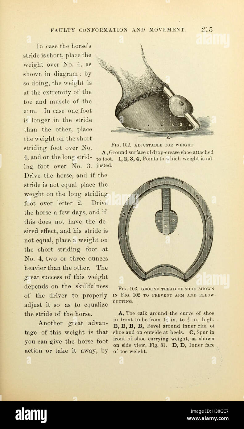 This work by Russell provides an in-depth look at the science of ...