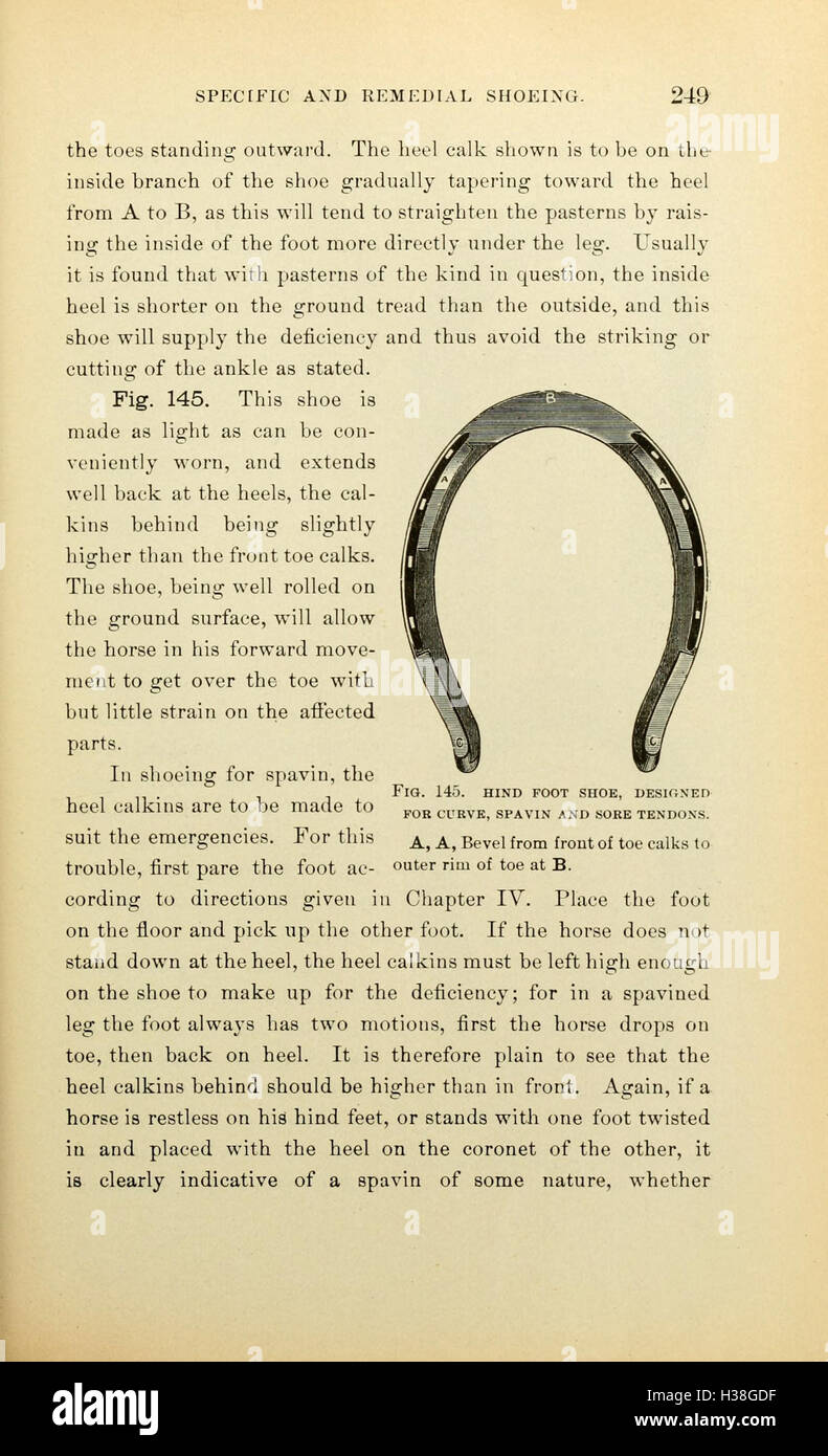 Russell on scientific horseshoeing (Page 249) BHL192 Stock Photo - Alamy