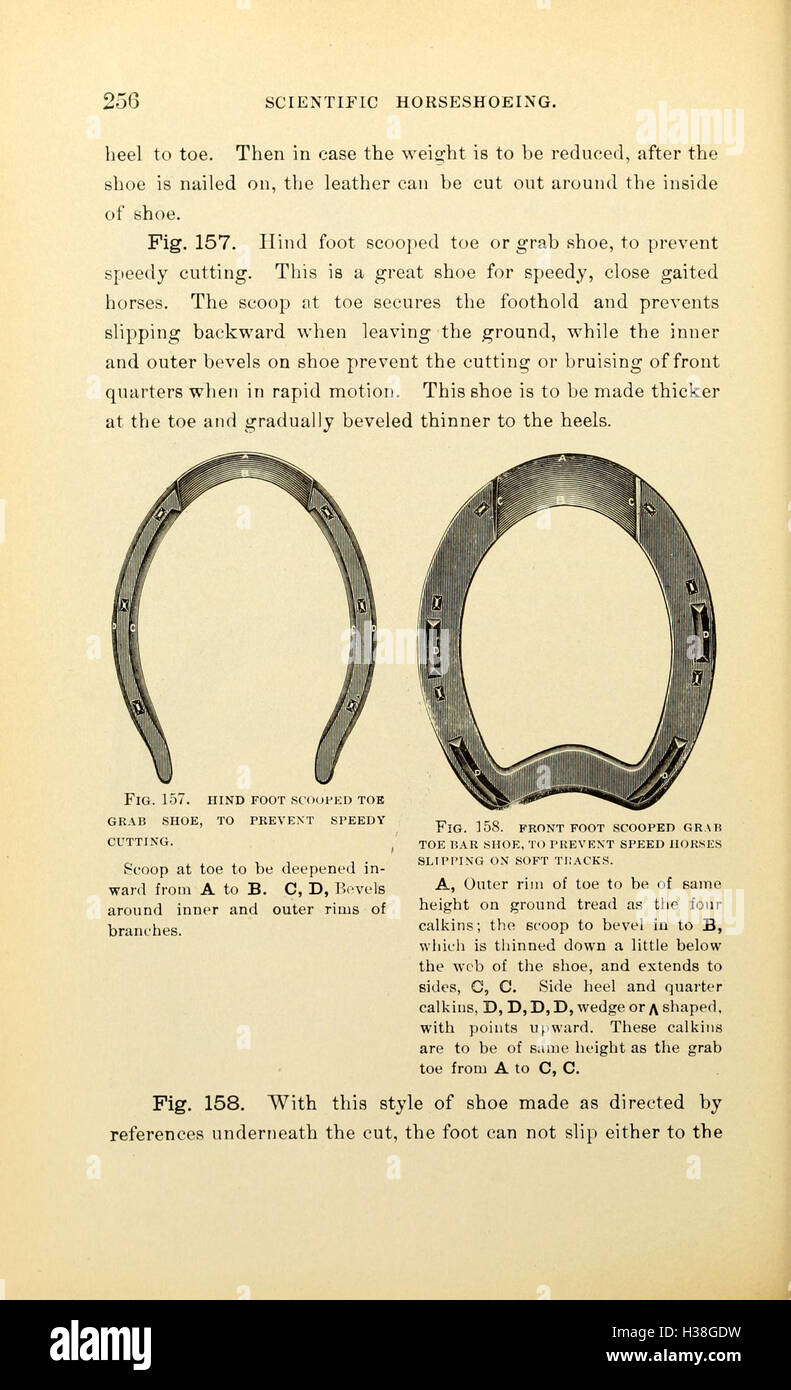 This work provides a detailed scientific approach to horseshoeing ...
