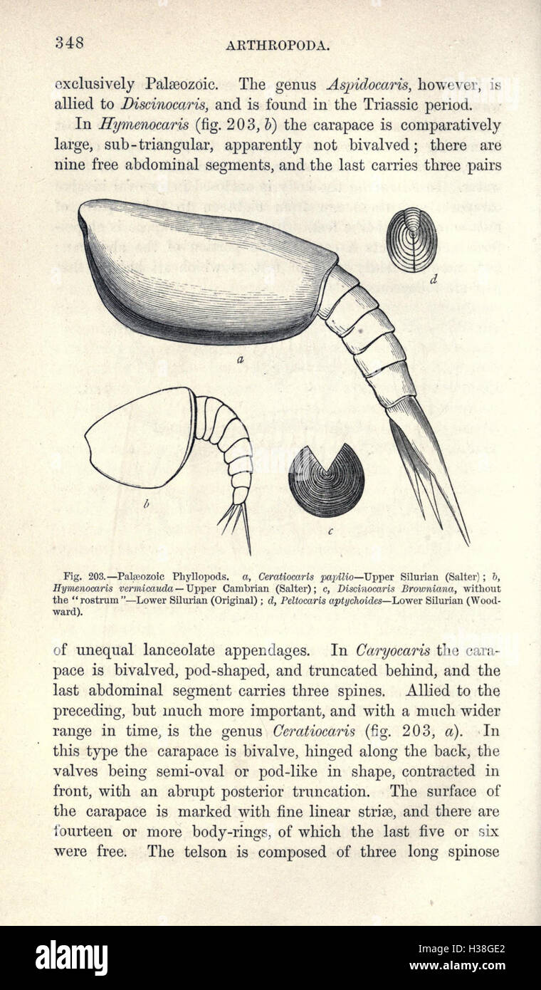 This manual serves as an educational guide to paleontology, providing ...