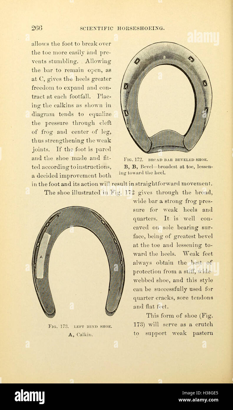 This work offers detailed techniques in the scientific approach to ...