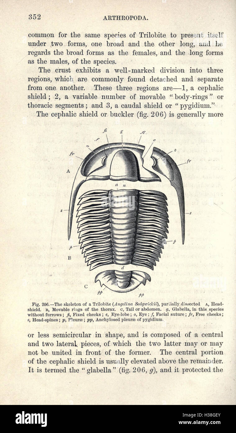 This manual provides an overview of paleontological methods, focusing ...