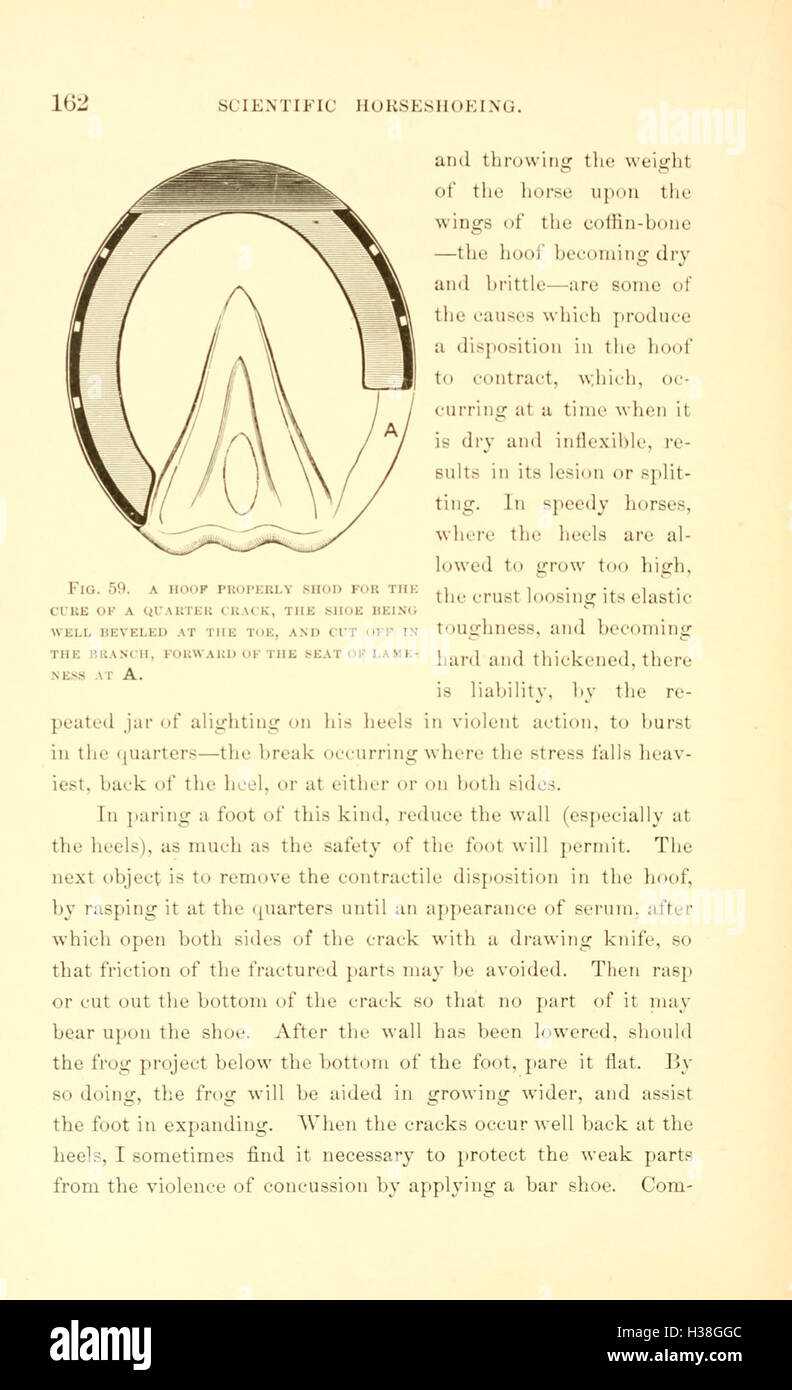 This work focuses on the science of horseshoeing, specifically methods ...