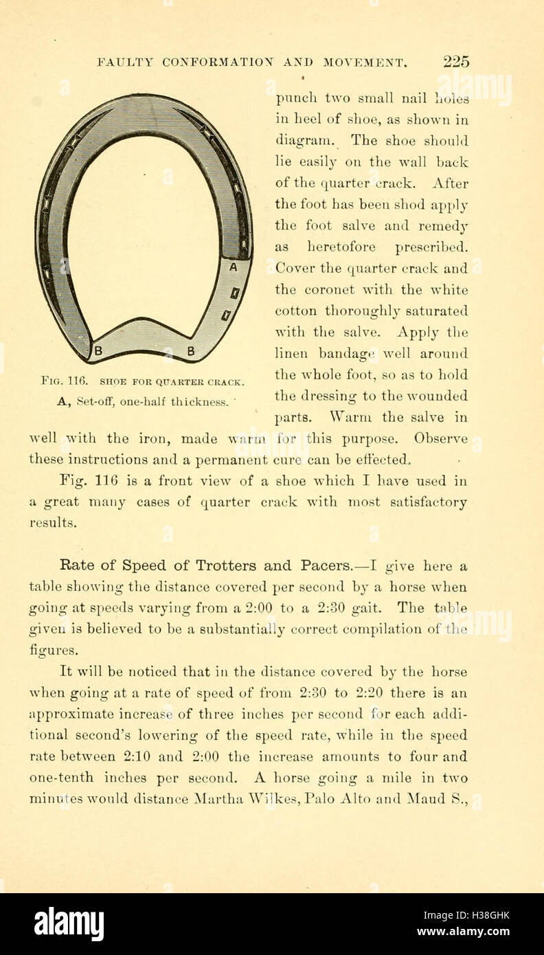 Russell’s work on horseshoeing focuses on the scientific methods used ...