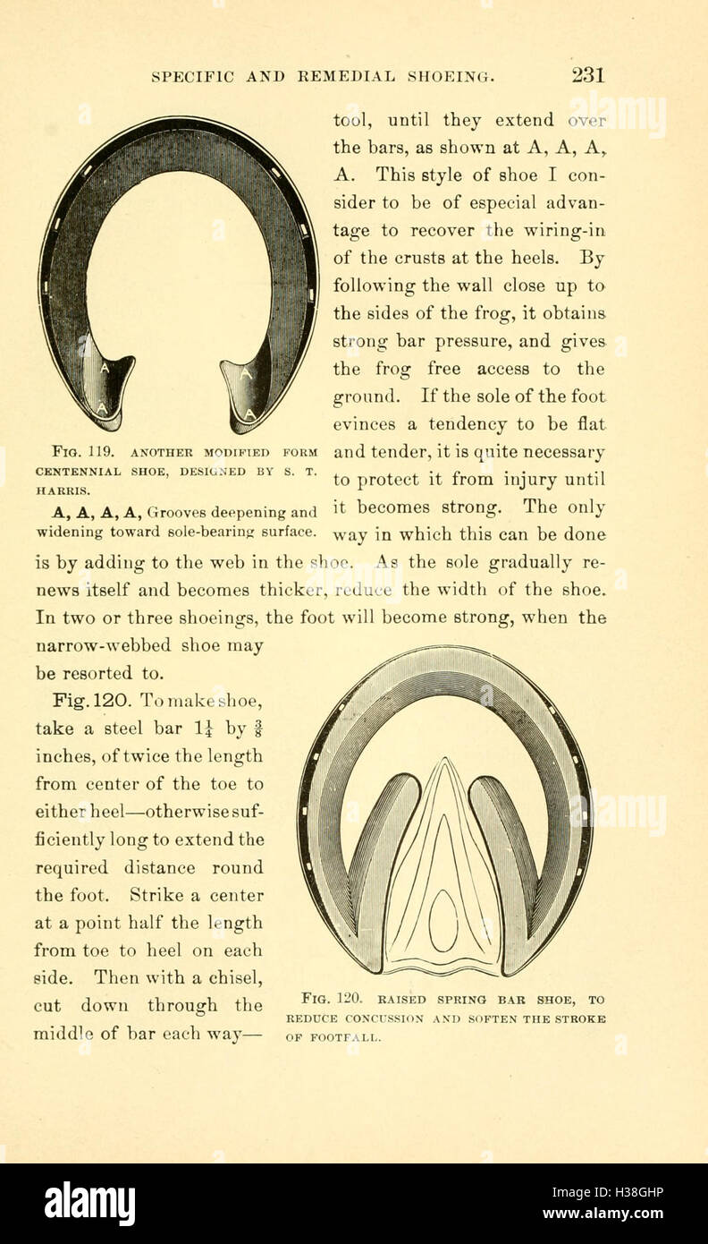 Russell’s guide to scientific horseshoeing emphasizes techniques for ...