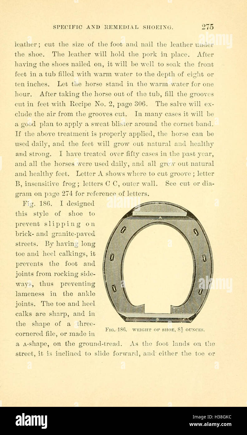 This page discusses Russell’s methods of scientific horseshoeing ...