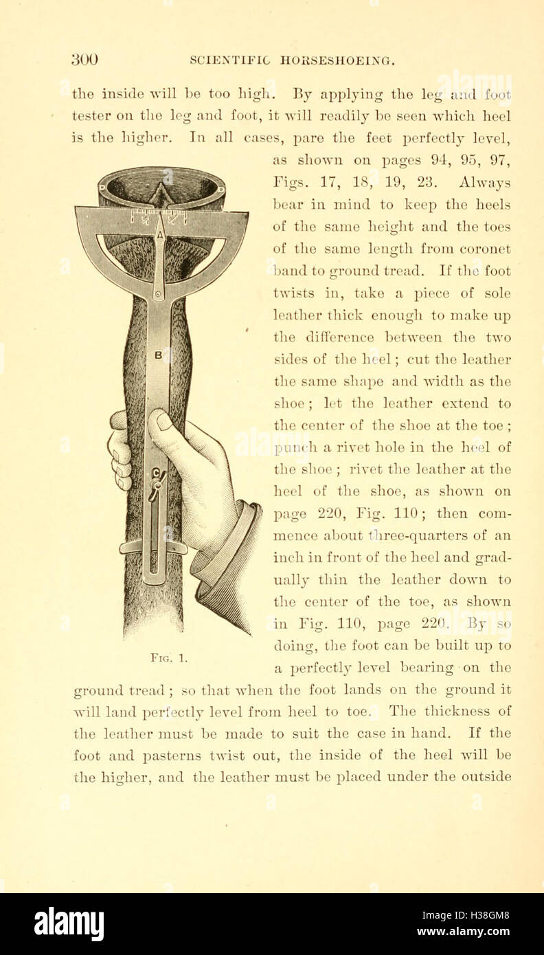 A scientific approach to horseshoeing, focusing on techniques for ...