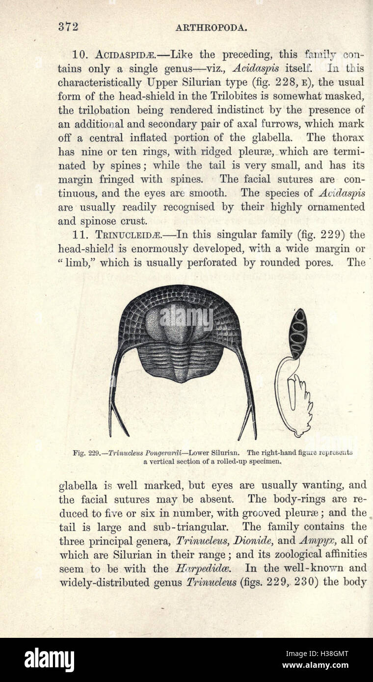 This manual provides an overview of paleontology, with a focus on ...