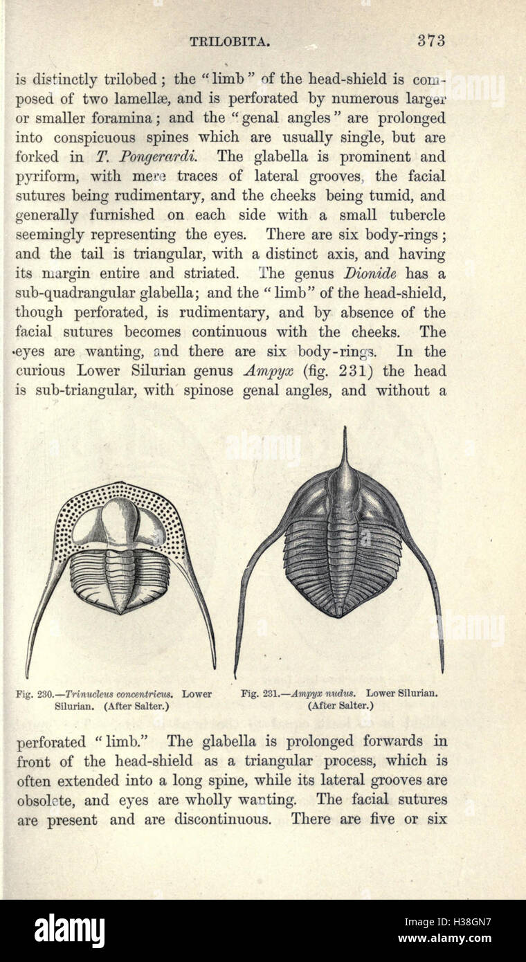 This page offers a detailed guide on paleontology, focusing on fossil ...