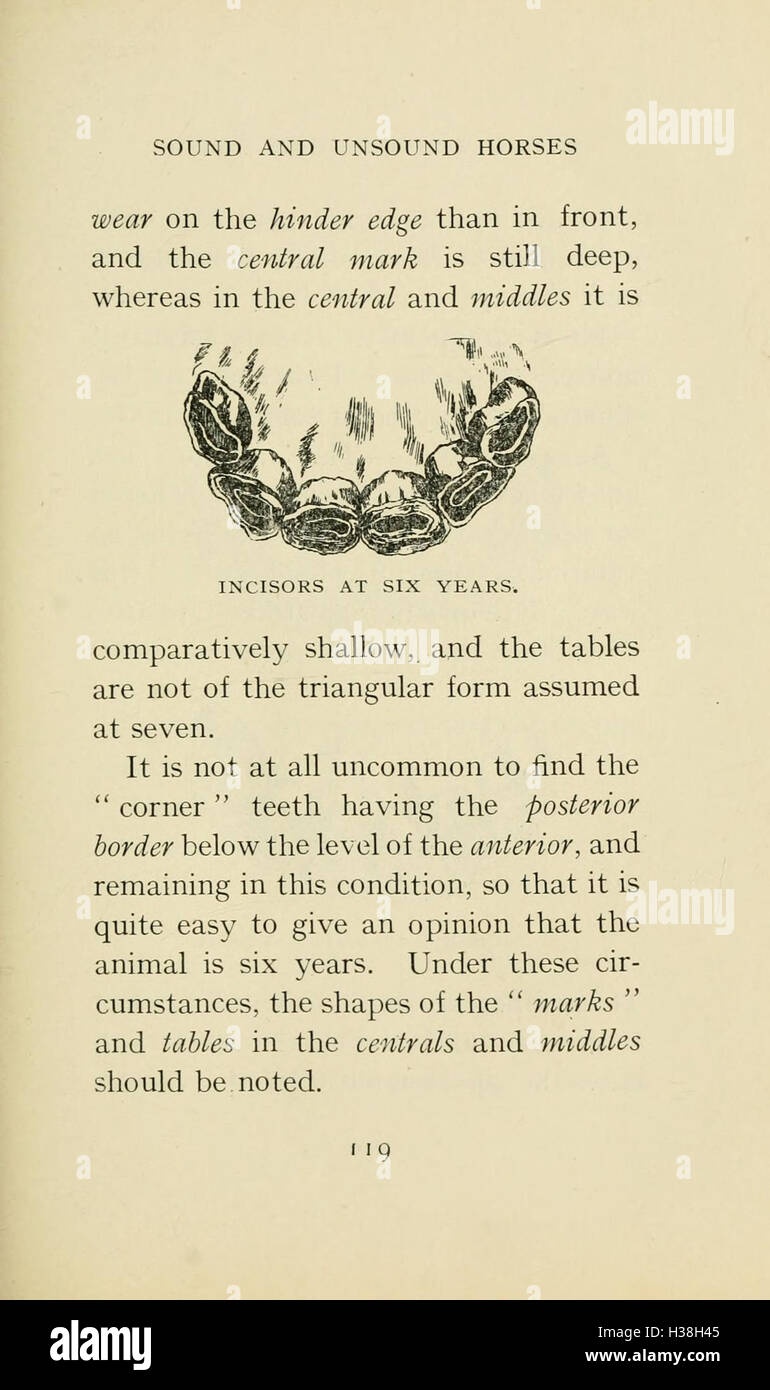 Unsound hi-res stock photography and images - Alamy