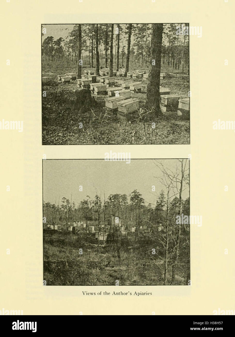 This work explores the practices and methods of beekeeping in the ...