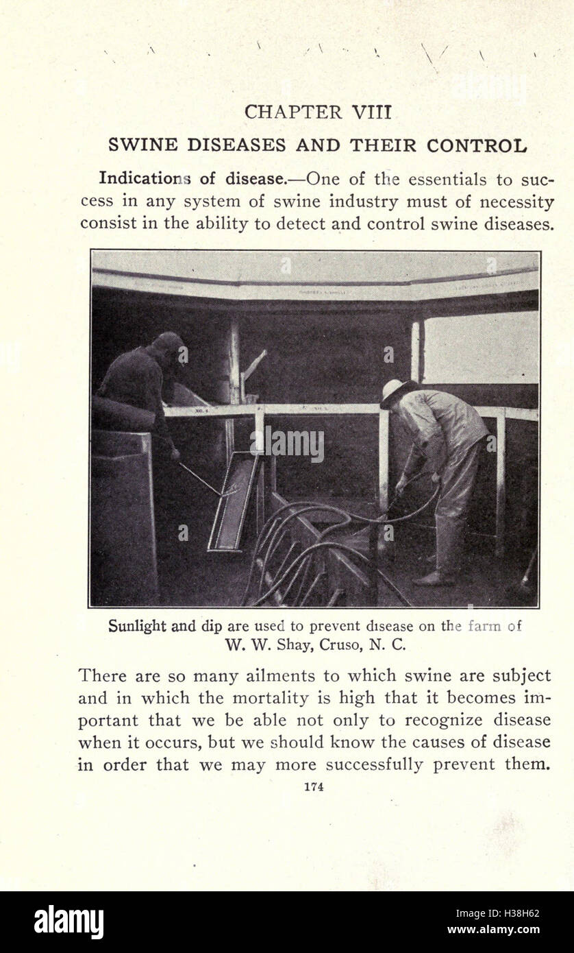 This work discusses the practices and techniques involved in pork ...