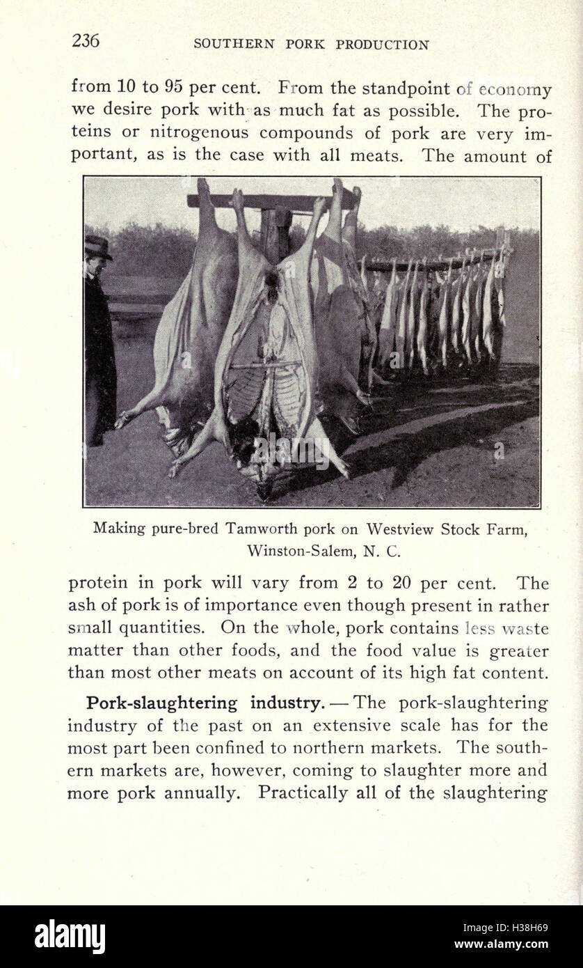 This document focuses on the methods and practices of pork production ...