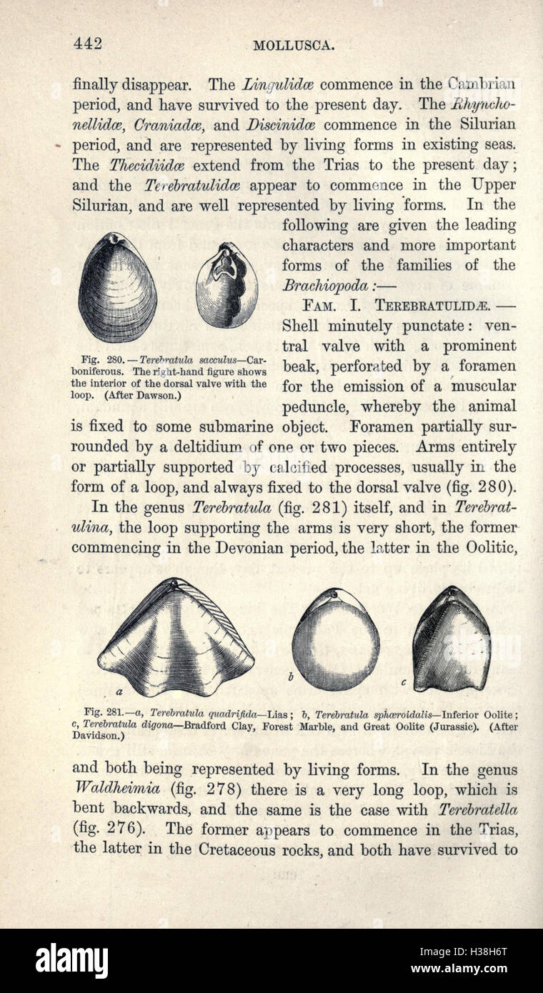This page from a manual of paleontology covers the classification and study of fossils, focusing ...