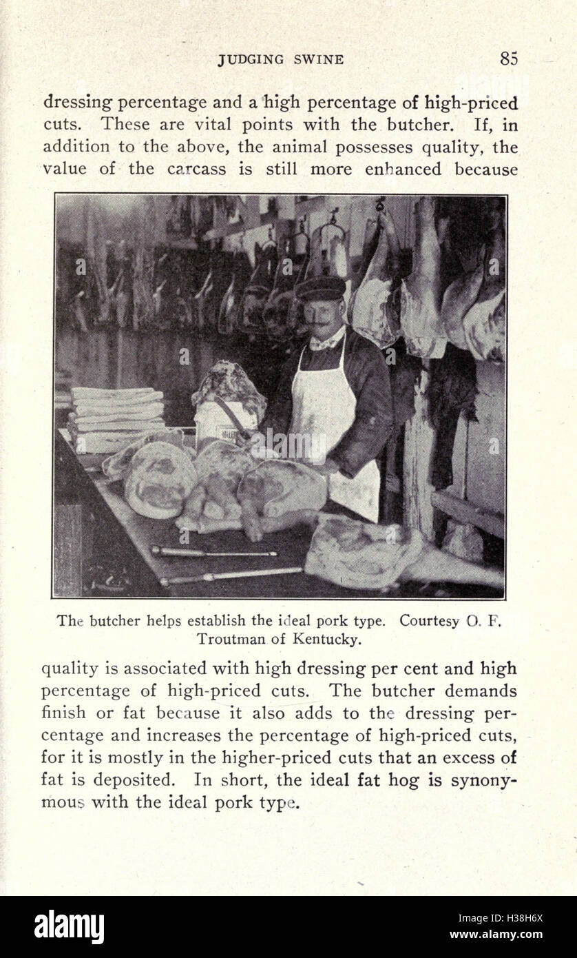This work examines pork production methods in the southern United ...