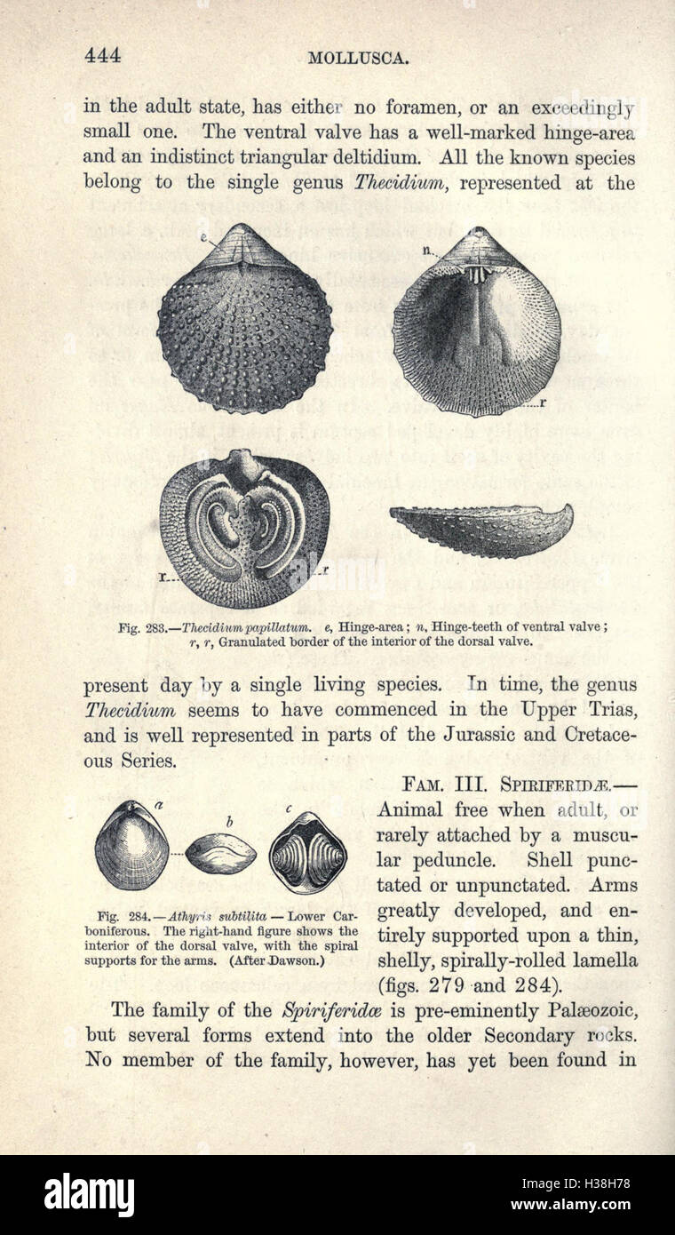 A detailed manual on paleontology, focusing on the methods of fossil ...