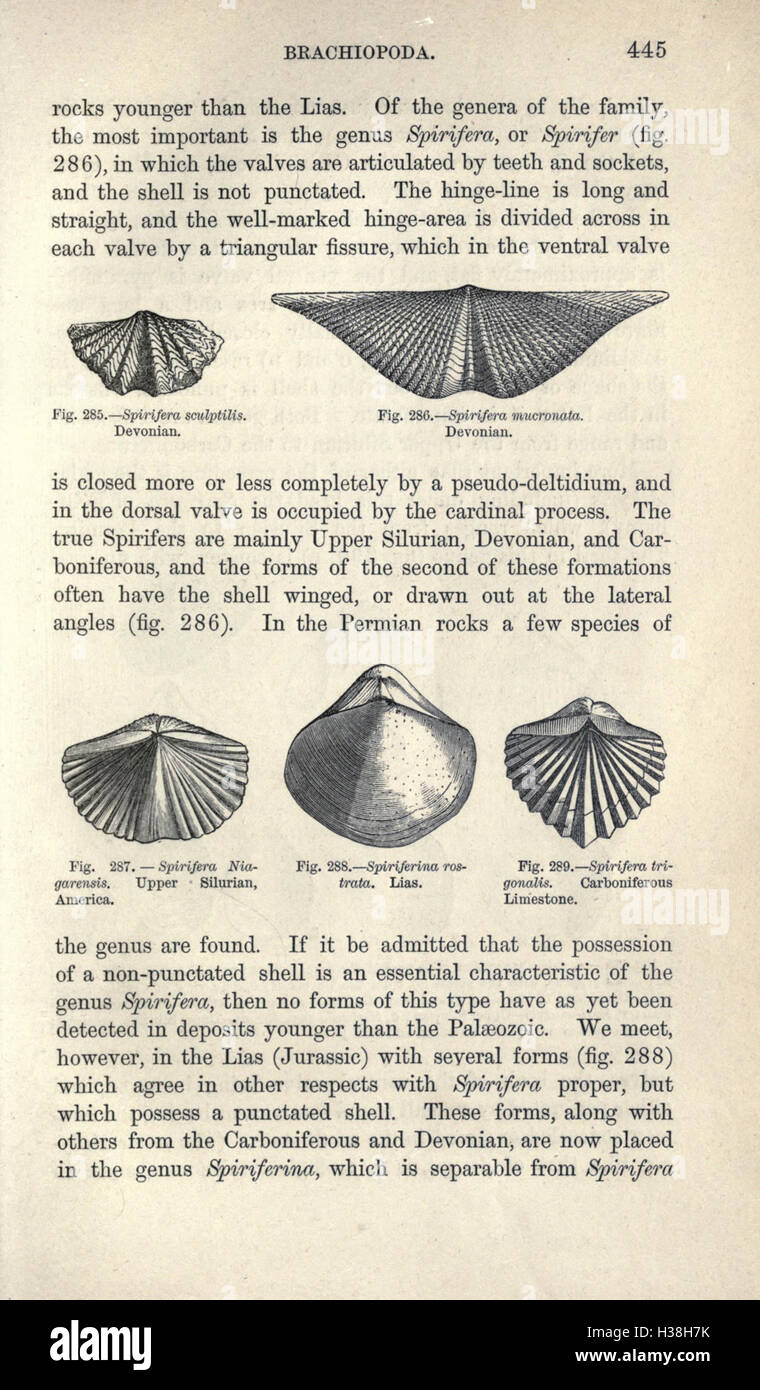 This manual covers the study of ancient life through fossils, focusing ...
