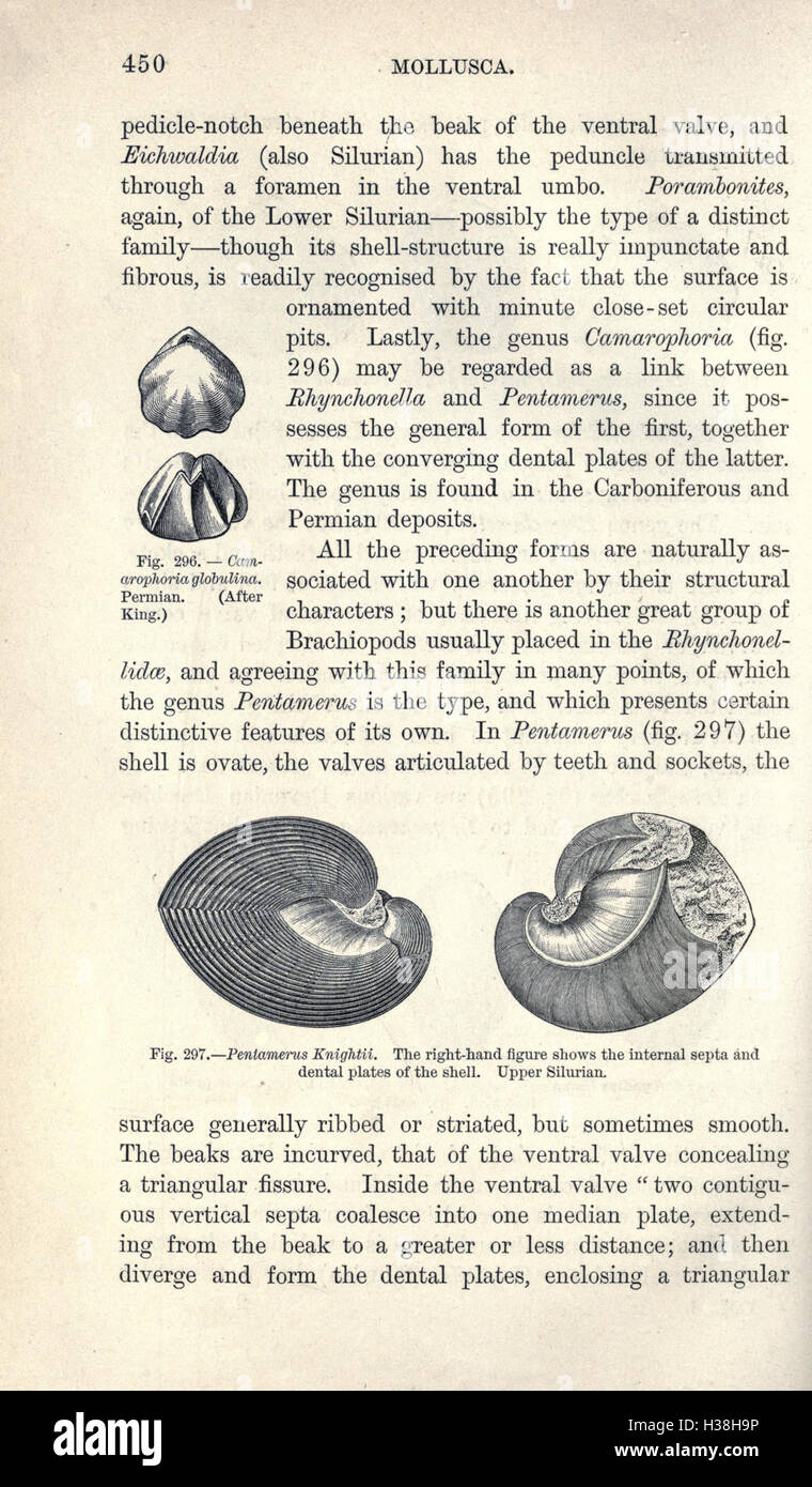 This manual provides an in-depth introduction to paleontology, covering ...