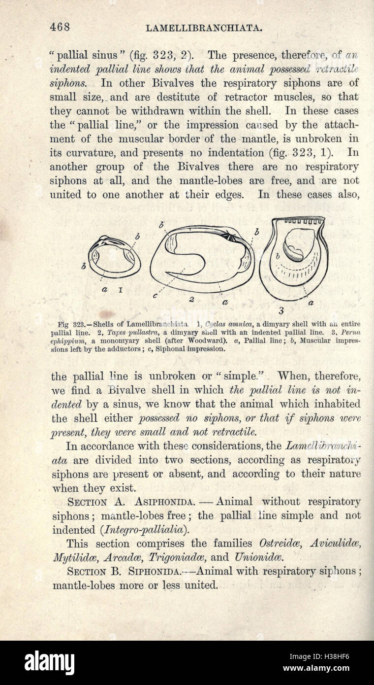 This manual provides an introduction to paleontology, covering the ...