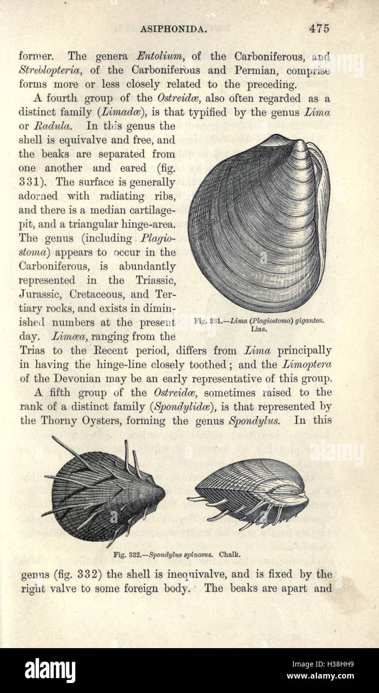 This manual provides an introduction to paleontology, covering fossil ...