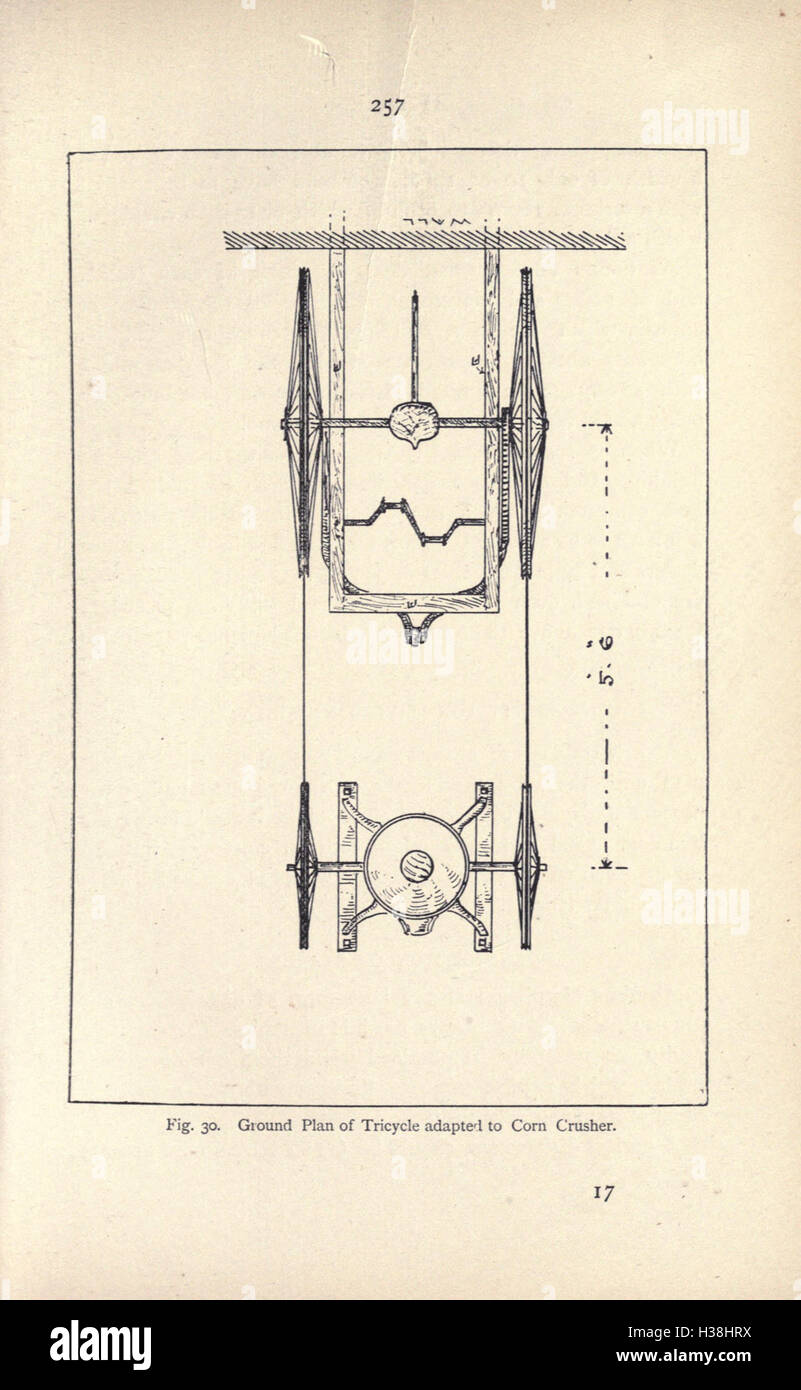 This section outlines proper stable management and exercise practices ...