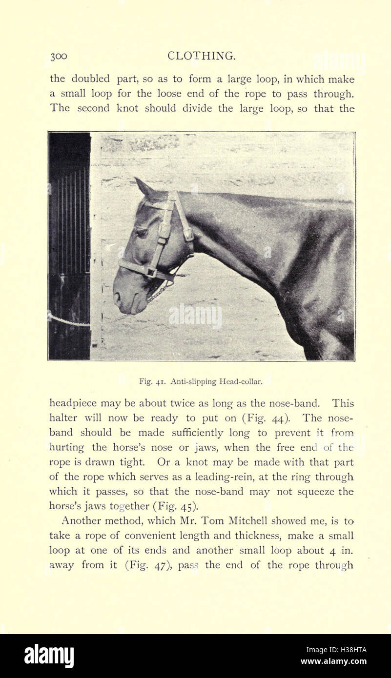 This work focuses on proper stable management practices and the ...