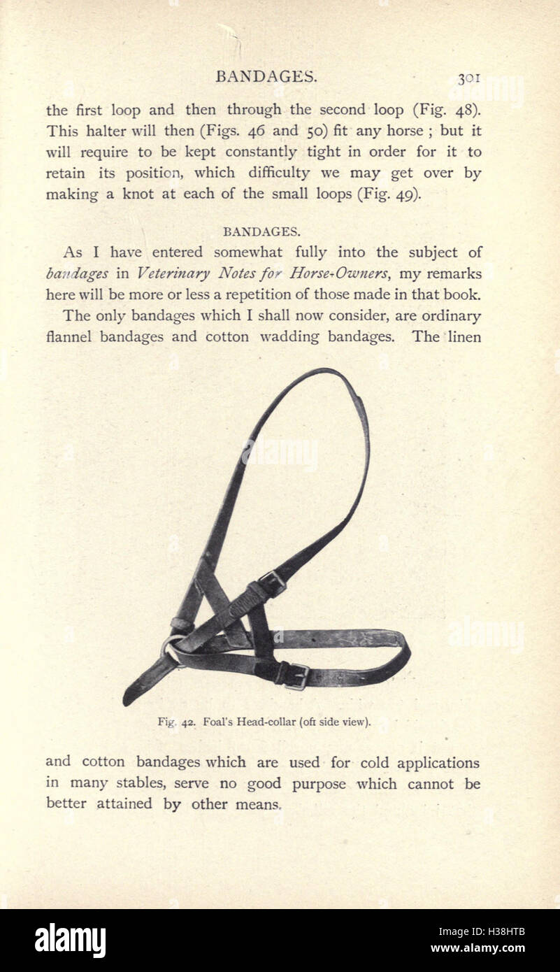 This text covers best practices in managing a horse stable, focusing on ...