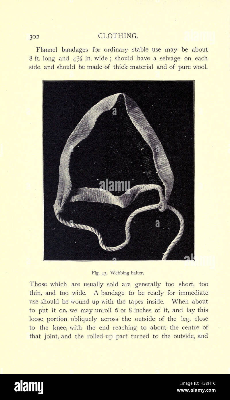 A guide to stable management and equine exercise routines, focusing on ...