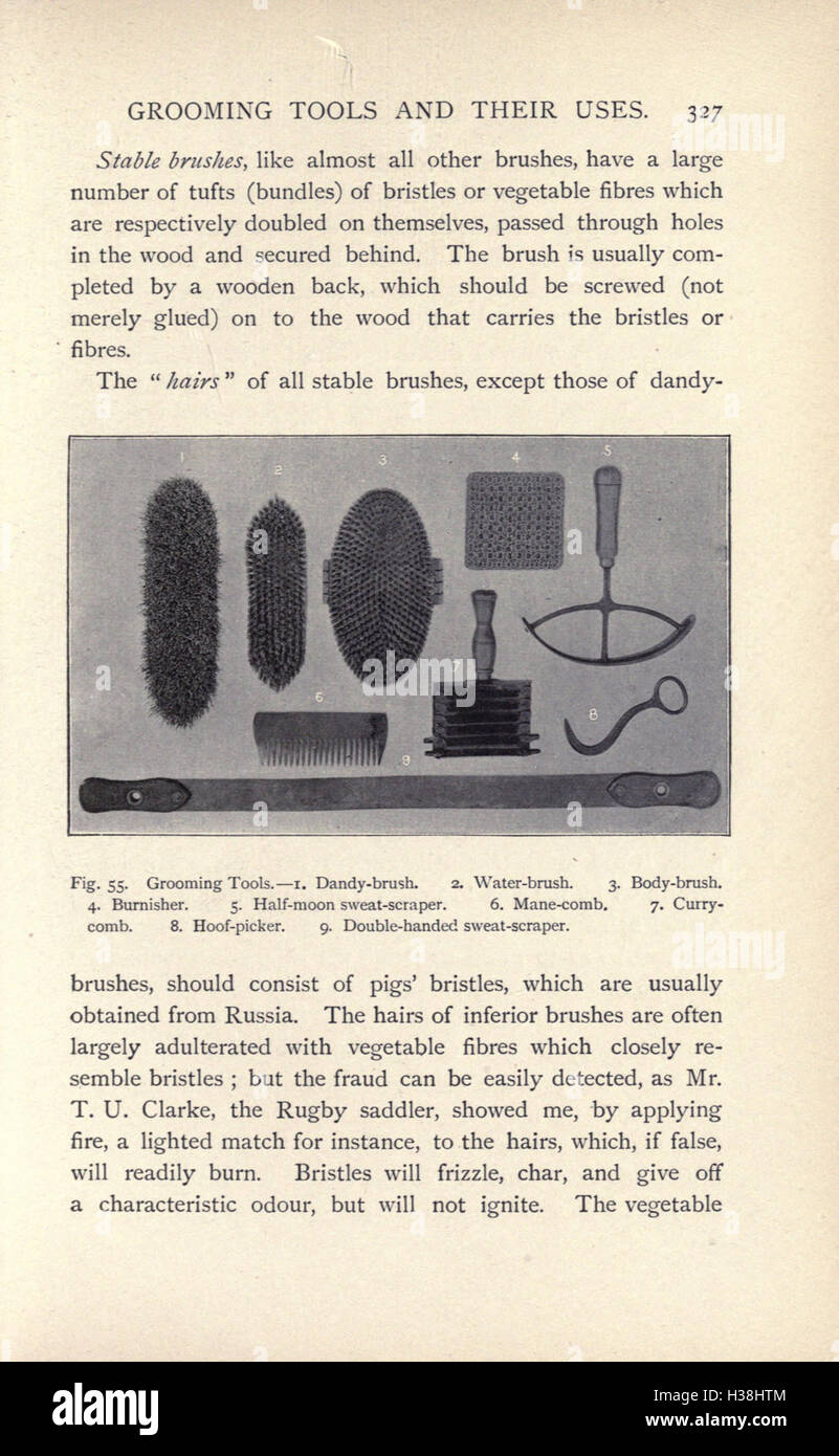 This work focuses on stable management and the importance of exercise ...