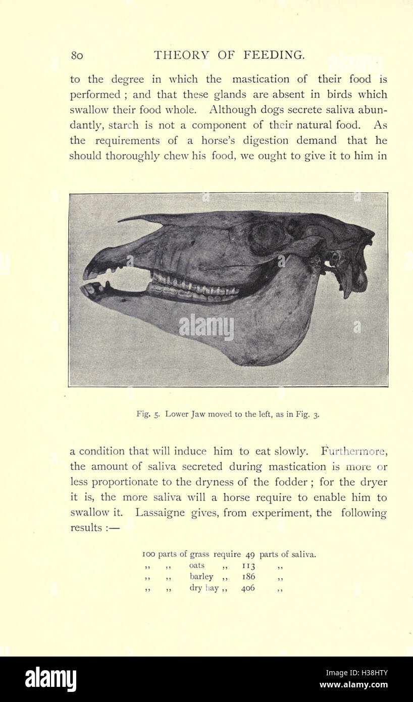 This text provides guidelines on proper stable management and exercises ...