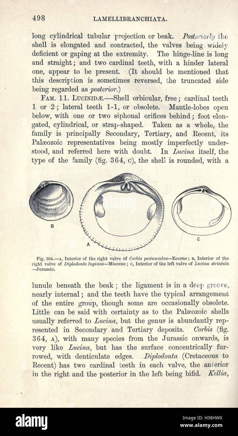 A comprehensive guide to paleontology, covering the principles of ...