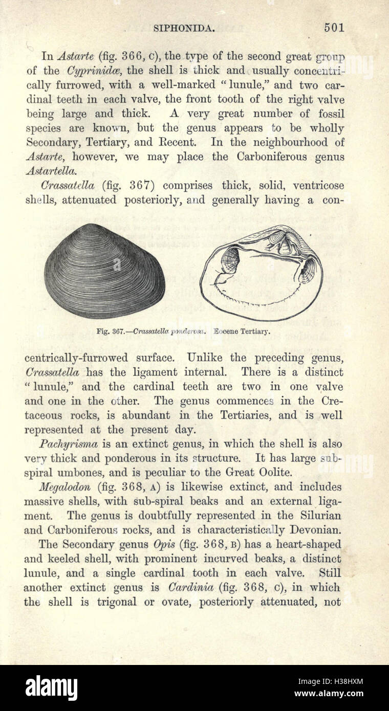 A comprehensive manual on paleontology, covering fossil records ...