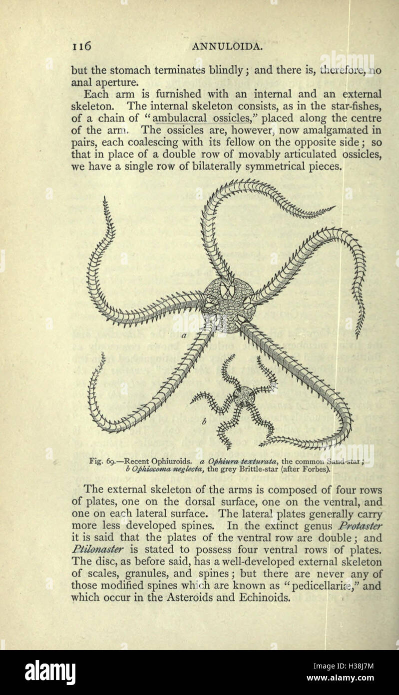This manual is designed as a guide for students studying paleontology ...