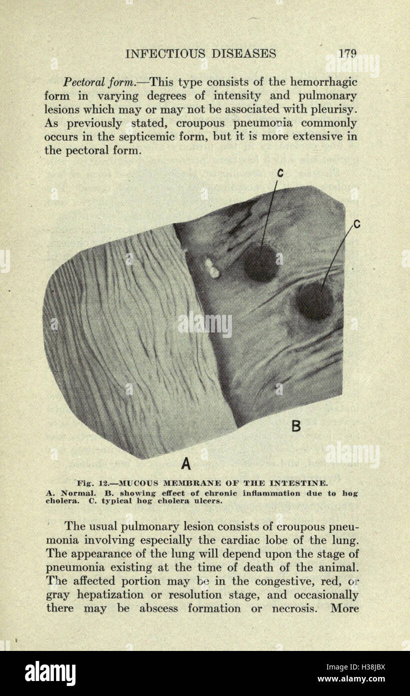 This work provides a detailed overview of common swine diseases, their ...
