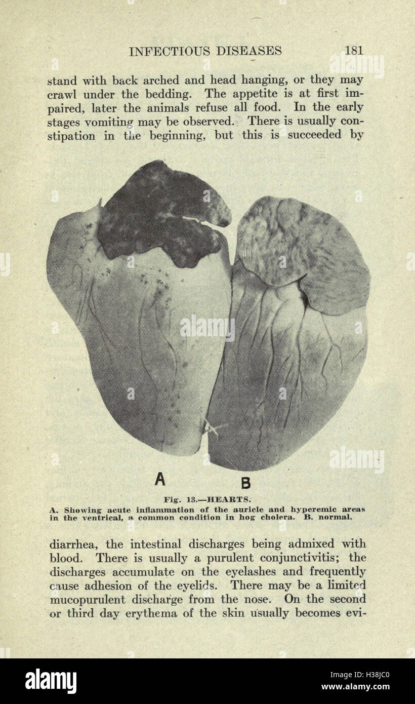 This page provides an overview of common diseases affecting swine ...