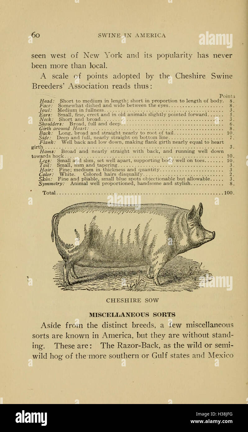 This work discusses the history, breeding, and management of swine in ...