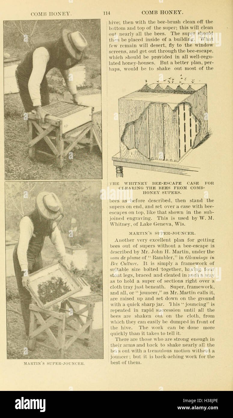 'The ABC and XYZ of Bee Culture' provides a comprehensive guide on ...