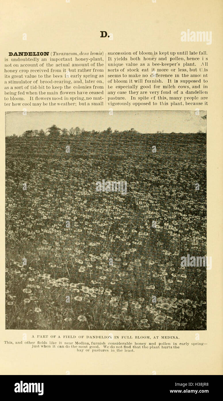 This comprehensive guide provides essential information on beekeeping ...