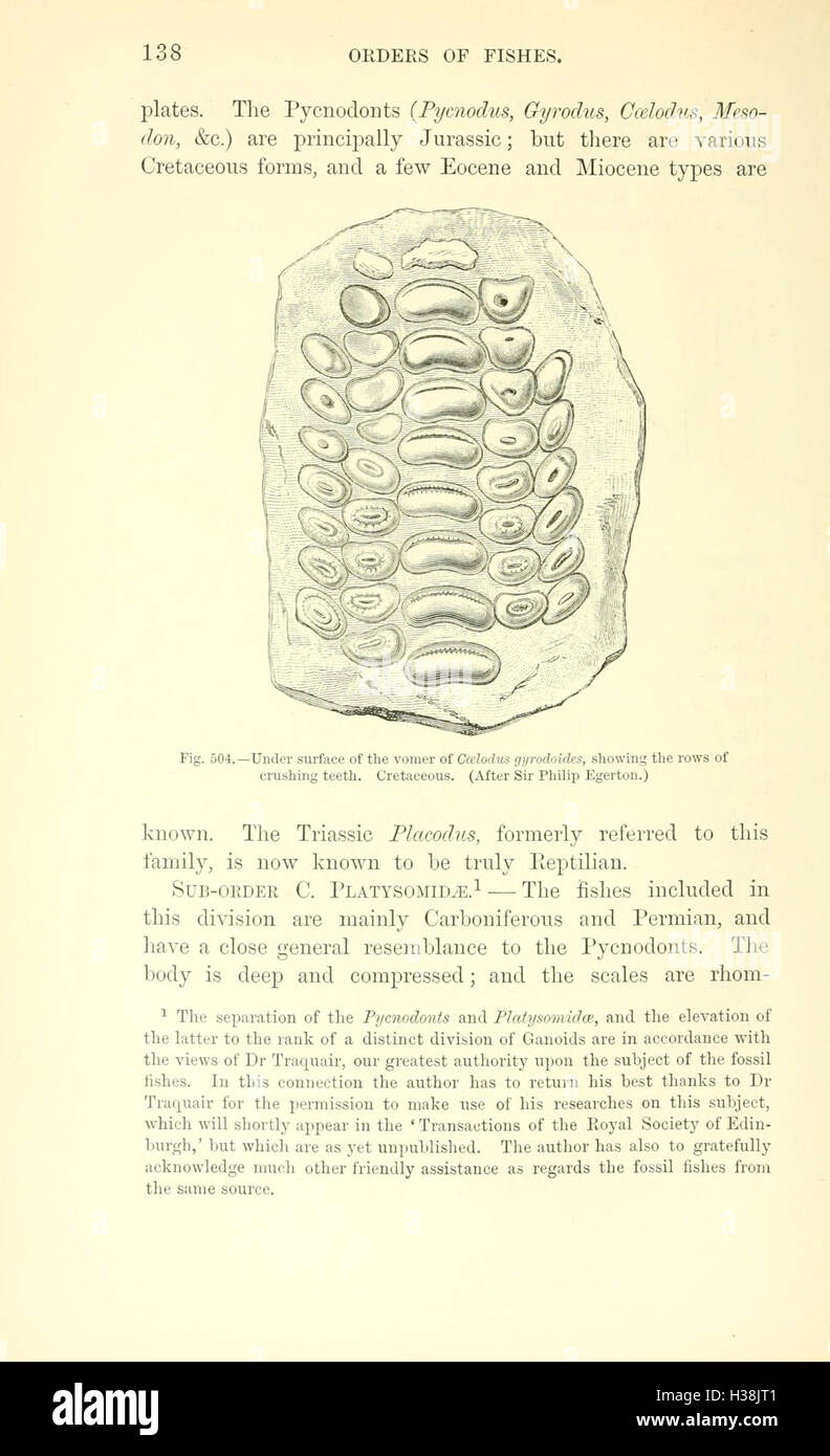 This manual serves as an educational resource on paleontology, designed ...