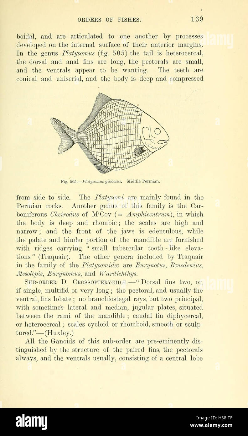 This manual offers an introduction to paleontology for students ...